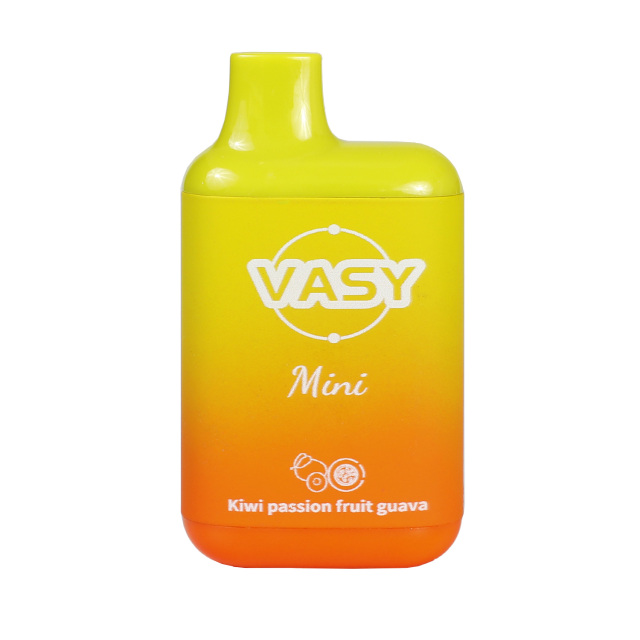 VASY-Mini