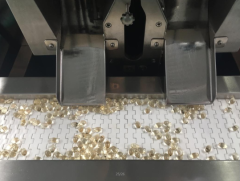 Softgel Encapsulation Machine | Automatic Soft Gelatin Capsule Filling ...