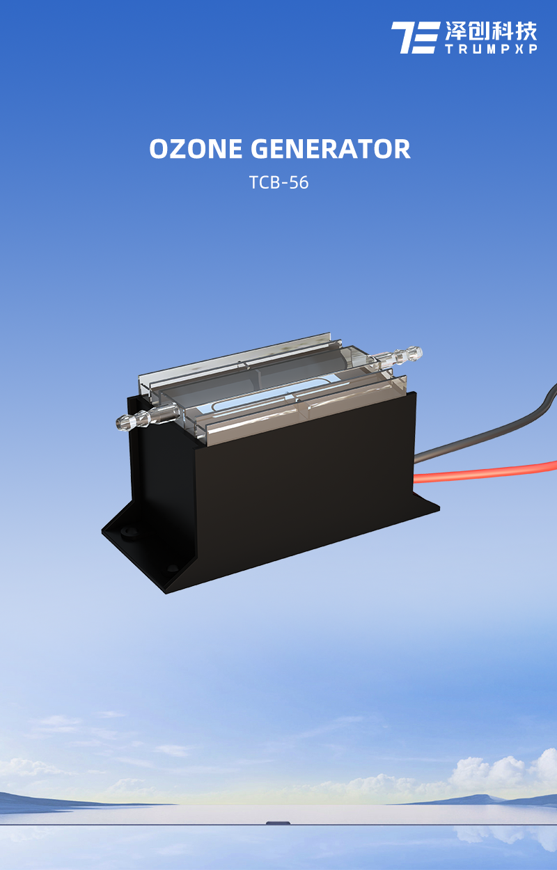 TCB-56 Portable Ozone Generator general-purpose filter mini ozone ...