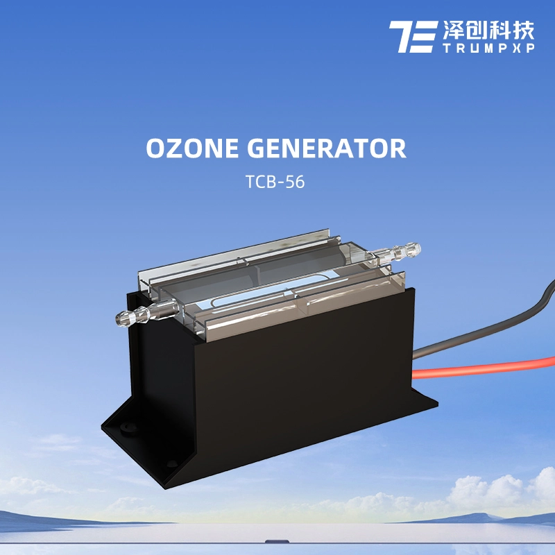 TCB-56 Portable Ozone Generator general-purpose filter mini ozone ...
