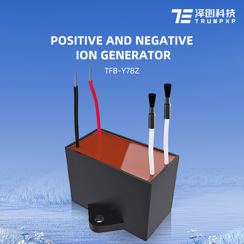 TRUMPXP positive and negative ion Generator dc12v High Voltage Unit TFB ...