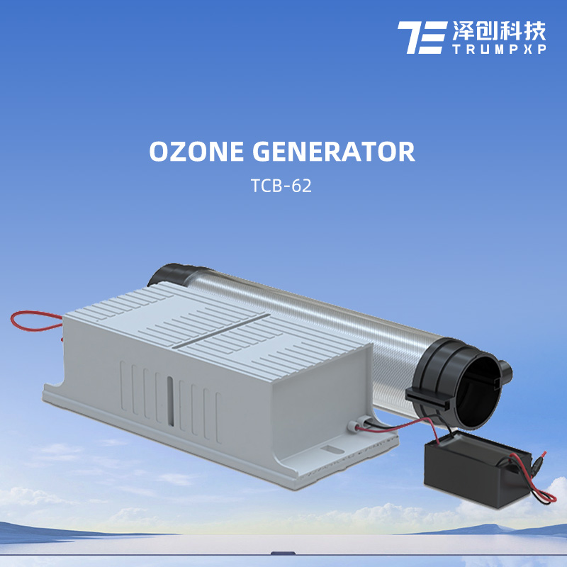 TCB-62 Ozone Putout 3g/Hour Ozone Generator glass tube Spa Ozone Generator For water treatment ...