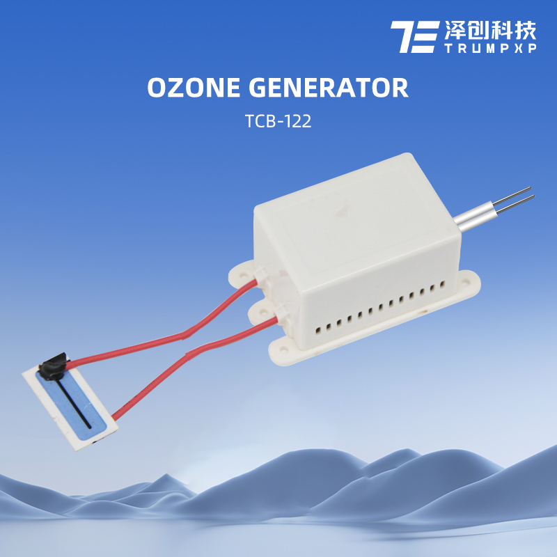 TCB-122 Ozone Generator 200mg/h small ozone medical generator generador ...