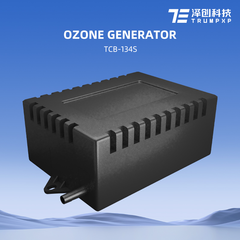 TCB-134S ozonator balboa Water Purifier air treatment ozone generator ...