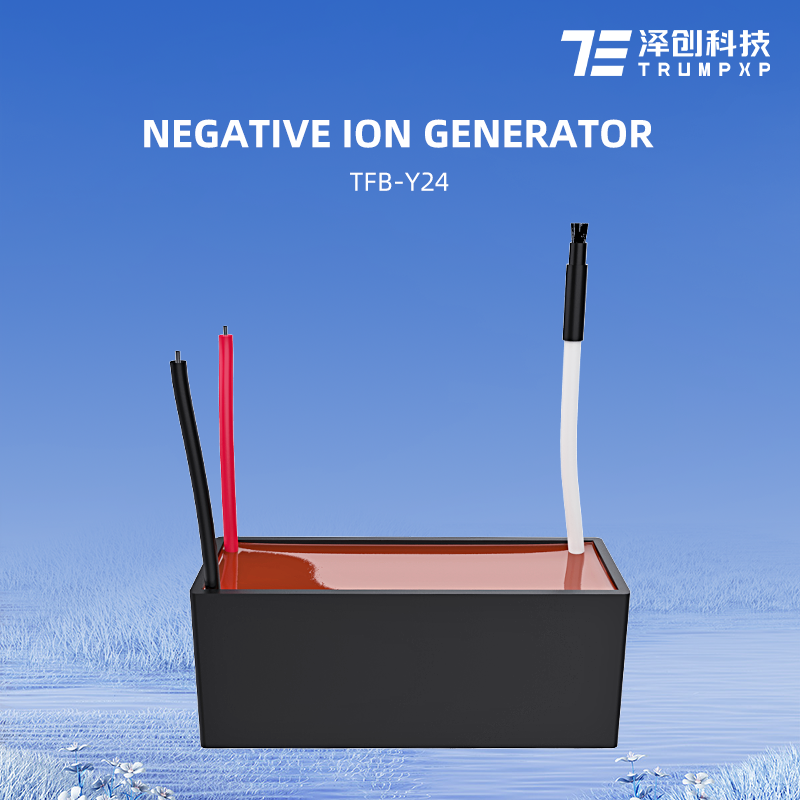 TFB-Y24 Wholesale TFB-Y24 Small size anion generator AC DC voltage 20 ...
