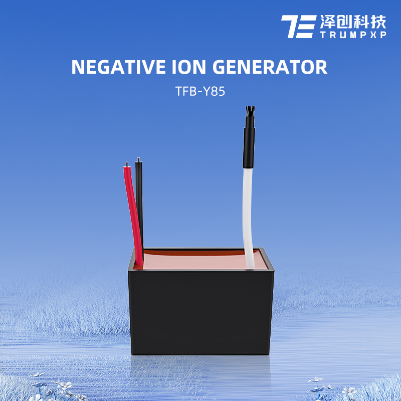 TFB-Y85 High Voltage ionizer 5.0Kv Negative Ion Generator Module 110 ...