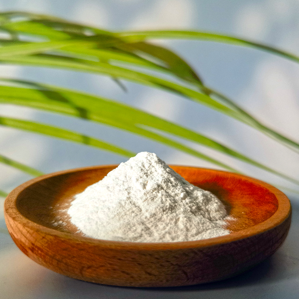 Bromelain Powder