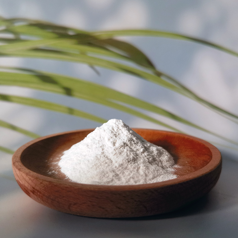 Creatine Monohydrate Powder