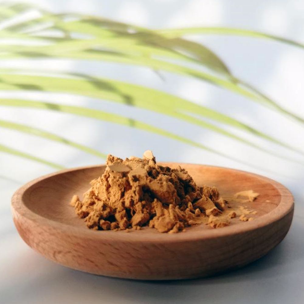 Gymnema Sylvestre Extract Powder