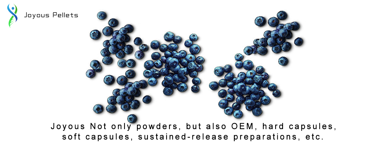 blueberry extract 25% anthocyanins powder