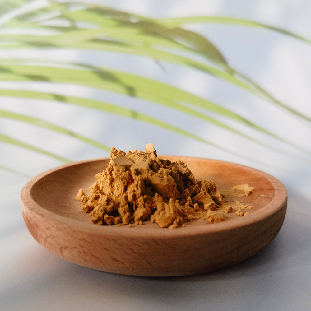 Hypericum perforatum extract powder
