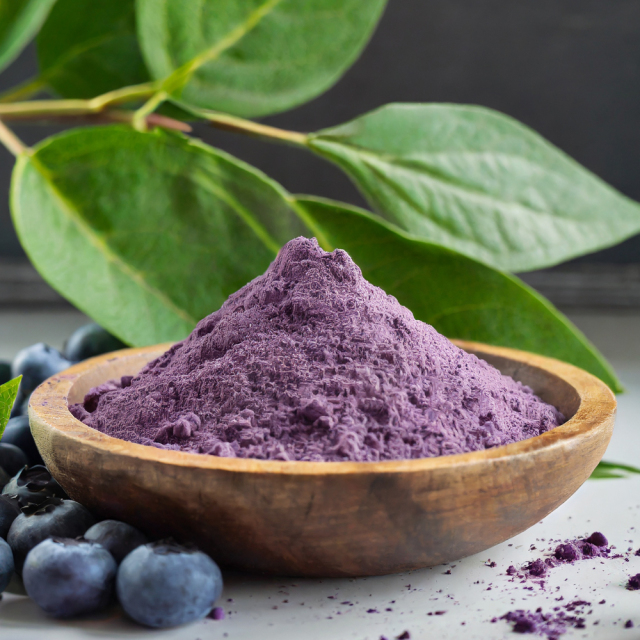 blueberry extract 25% anthocyanins powder