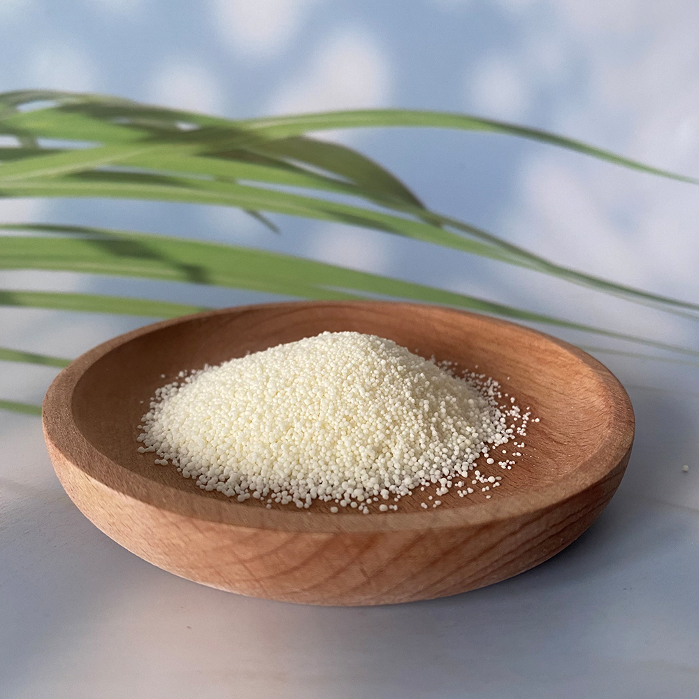 GABA sustained release pellets