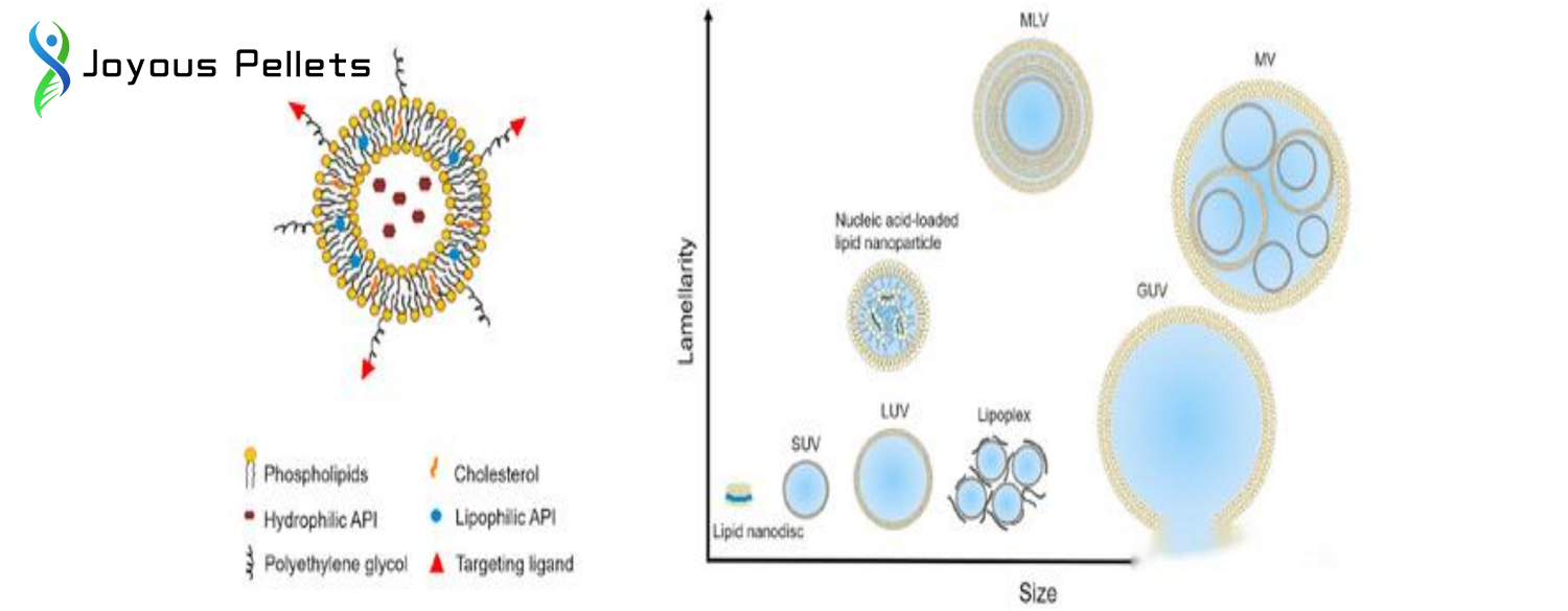liposomal Resveratrol