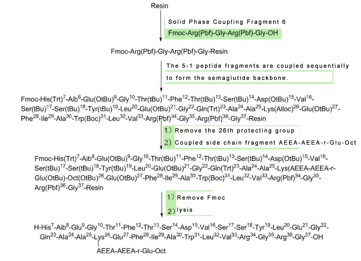 semaglutide Process introduction