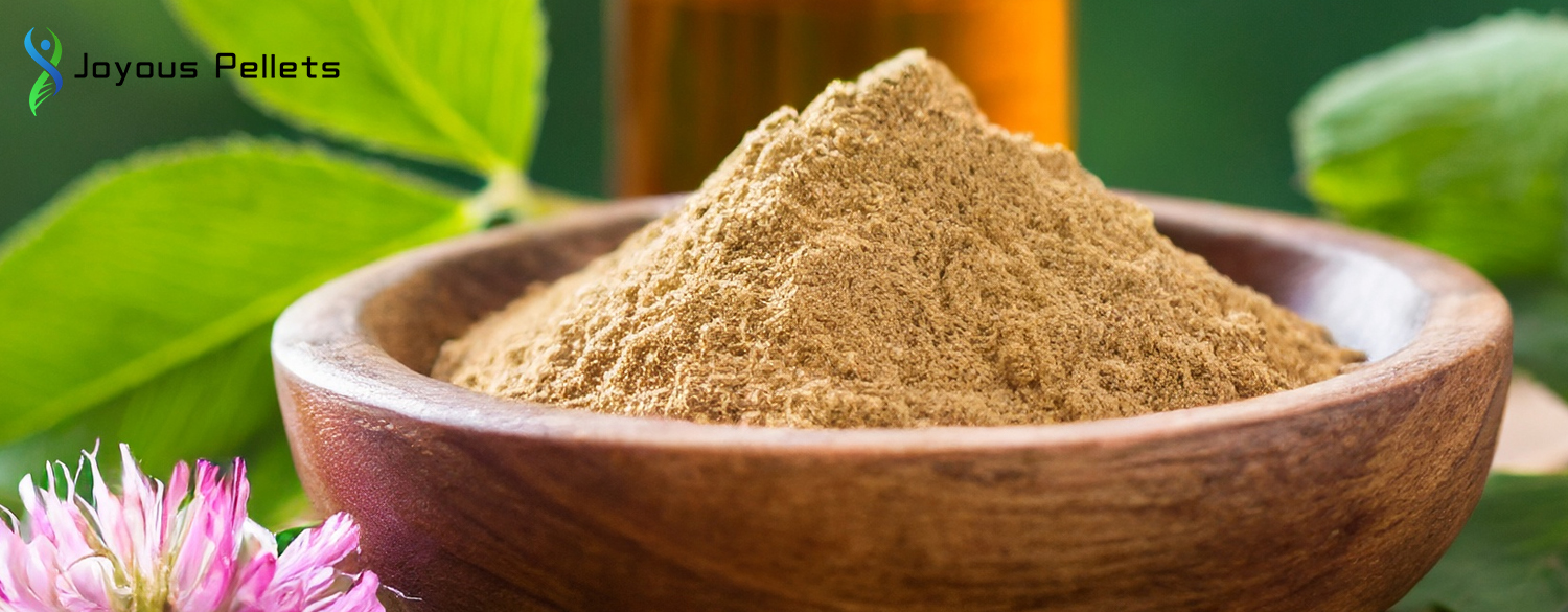 Red Clover Extract powder