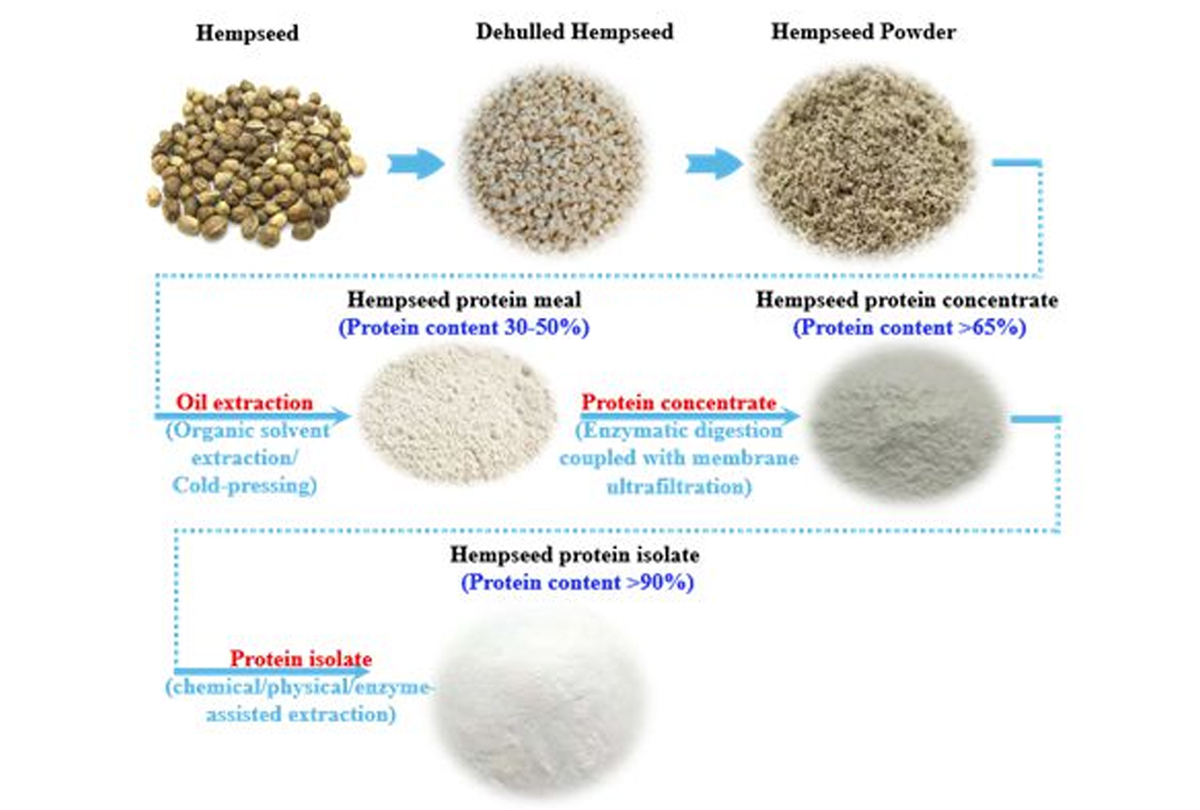Joyous Pellets: Hemp Seed Protein for Pure Nutrient Power