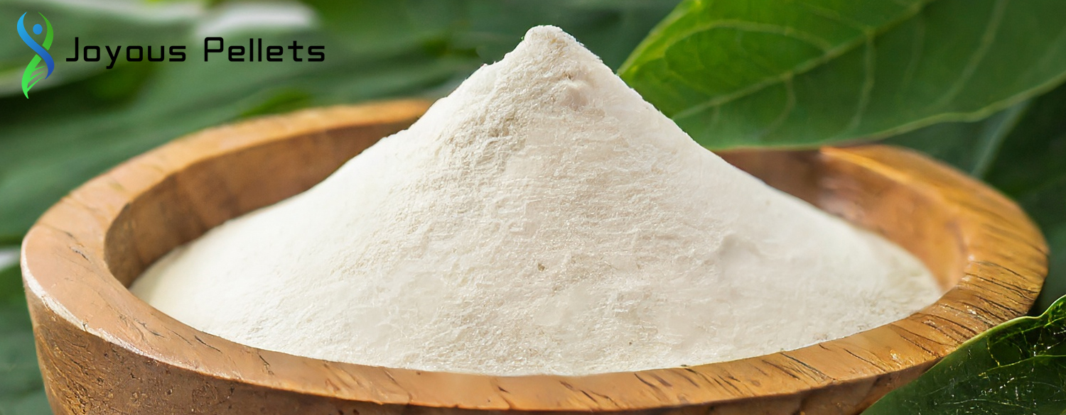 chitosan powder