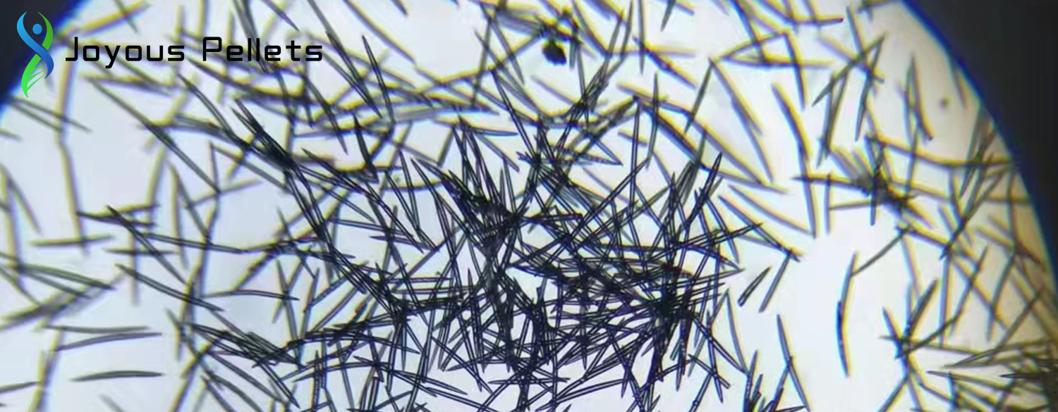 sponge spicule powder