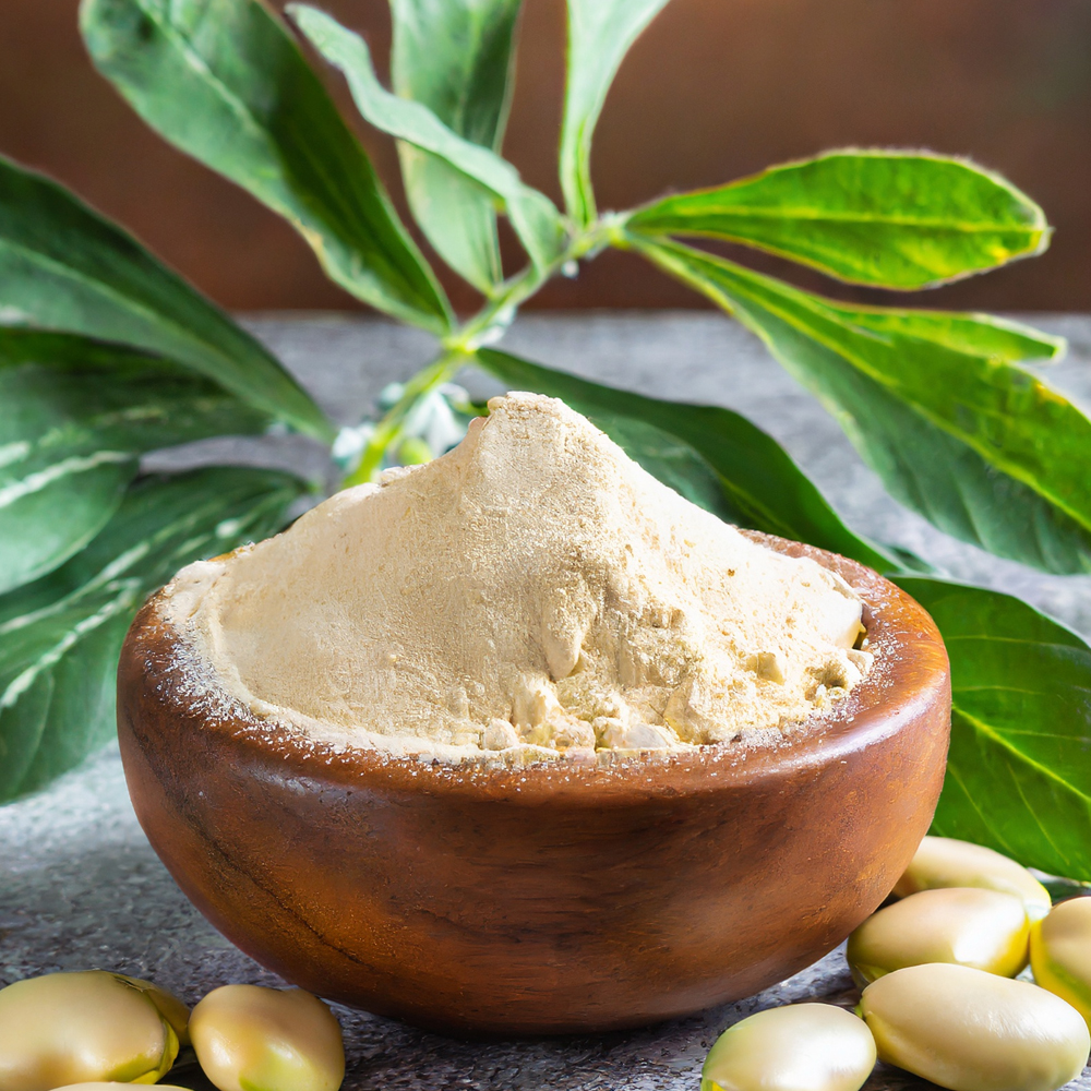 Broad bean protein powder