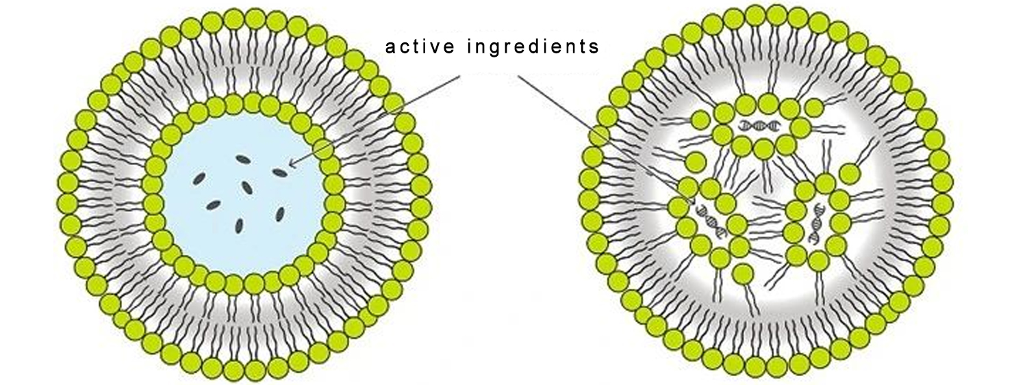 Liposomes VS Lipid Nanoparticles: Who is the king of nanodrug delivery ...