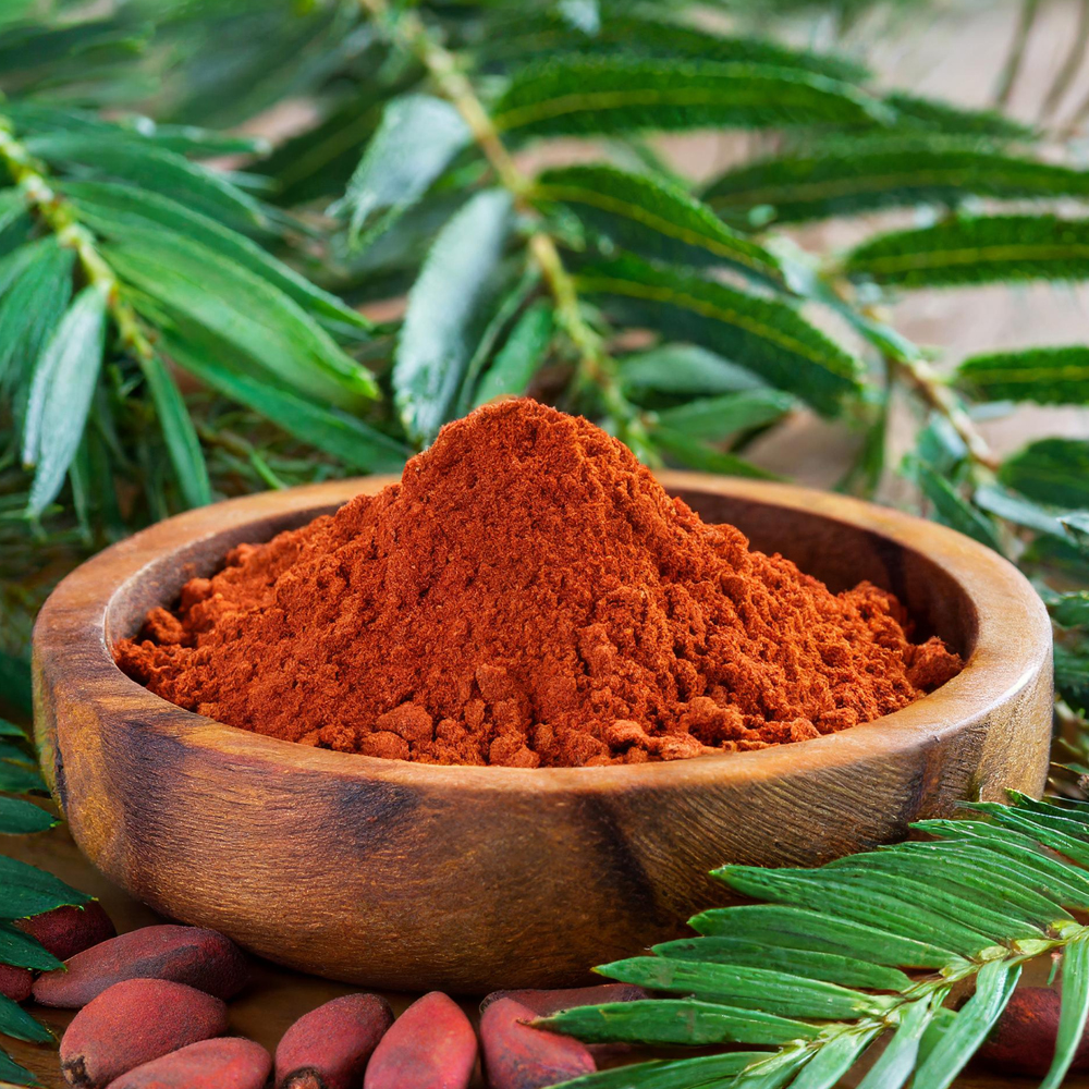 maritime pine extract powder