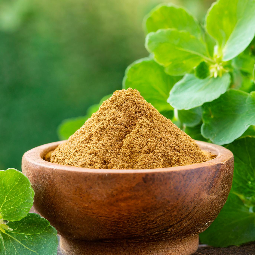 Bacopa monnieri extract