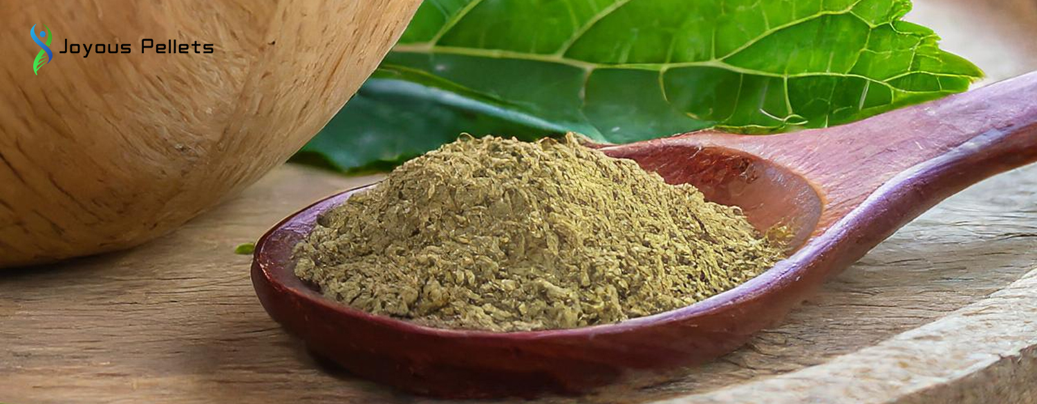 Mulberry Leaf extract powder