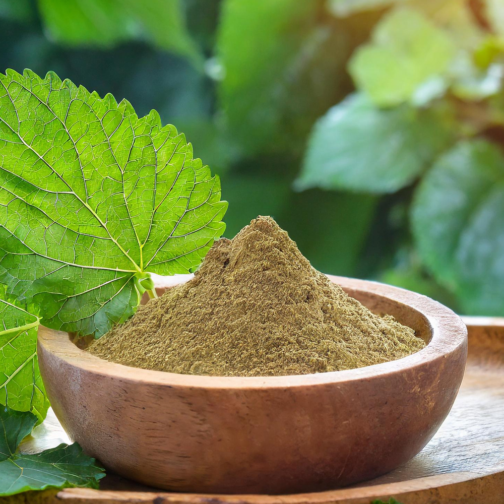 Mulberry Leaf extract powder