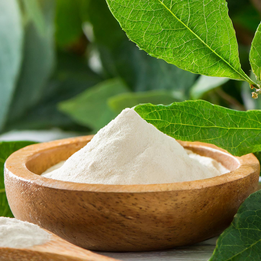 Lactobacillus rhamnosus powder