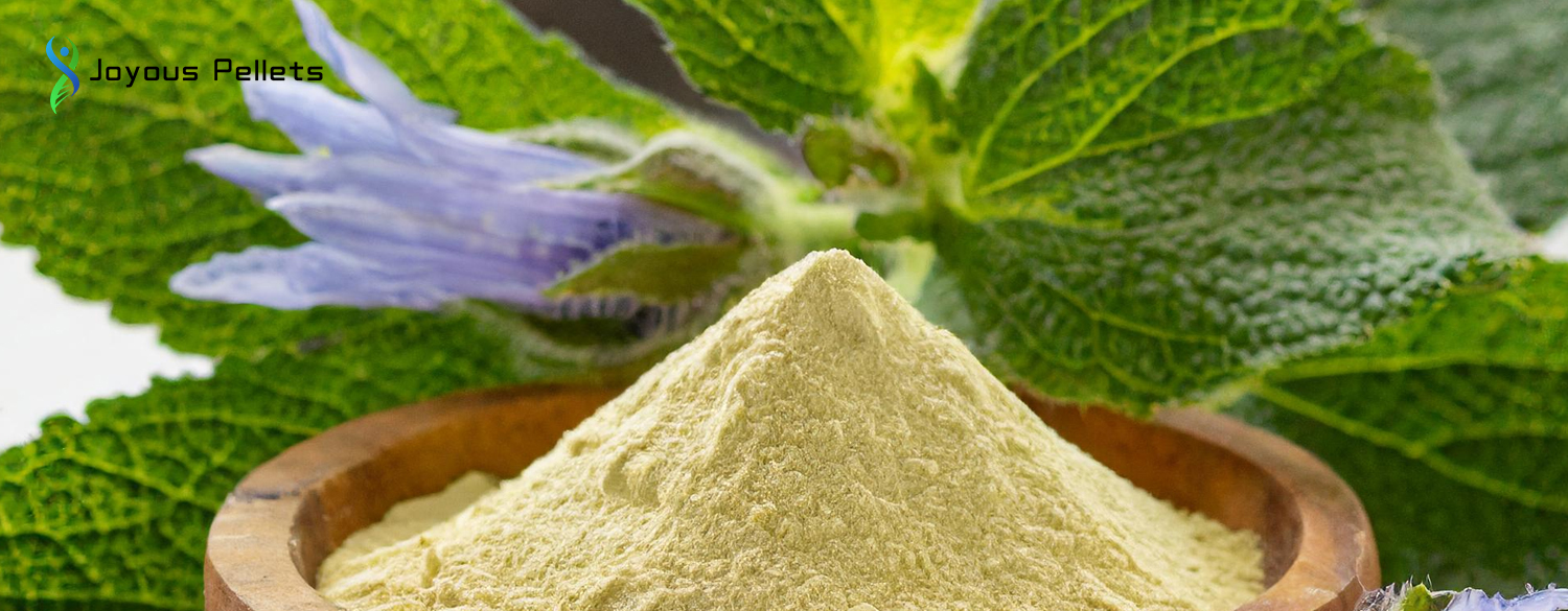 Borage oil powder