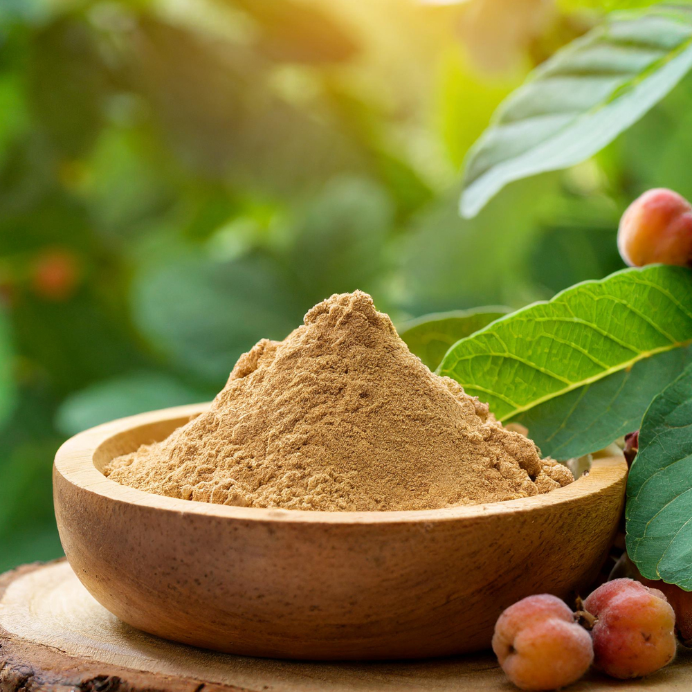 Soap Nut Extract powder