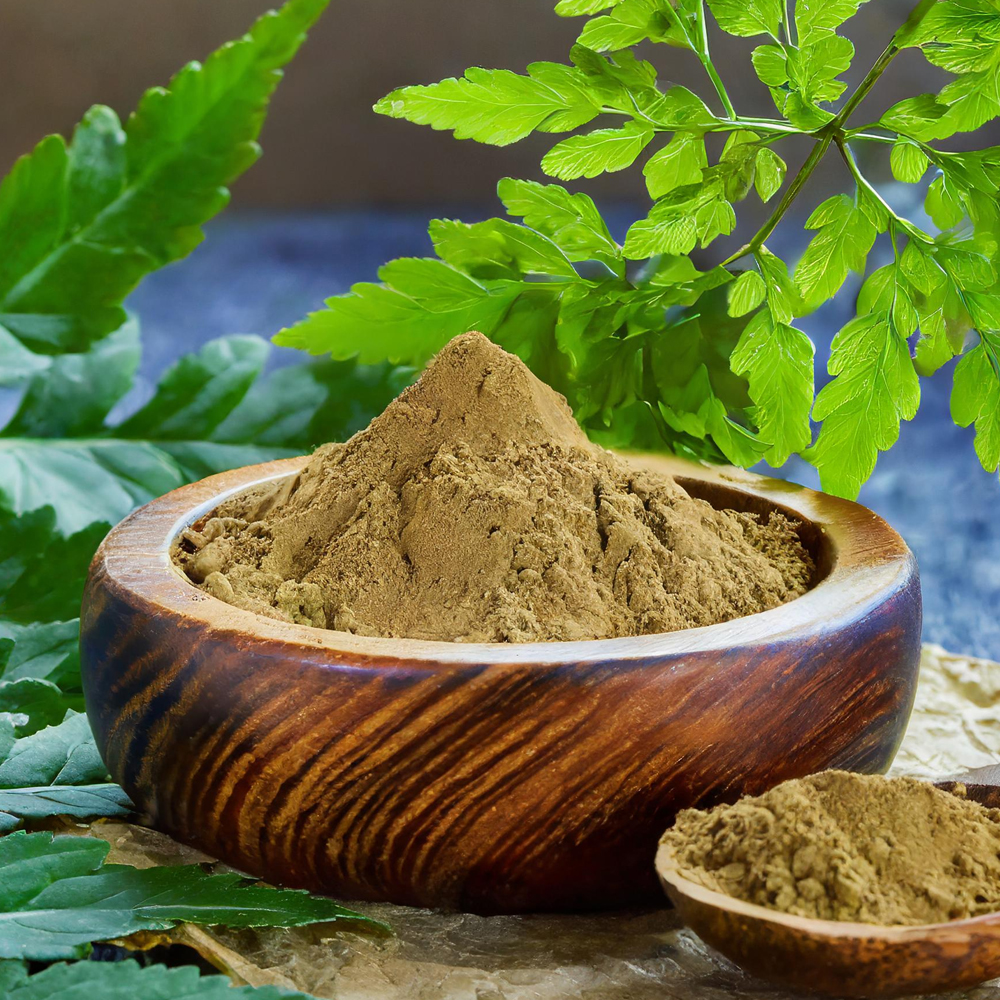 Isatis root extract powder