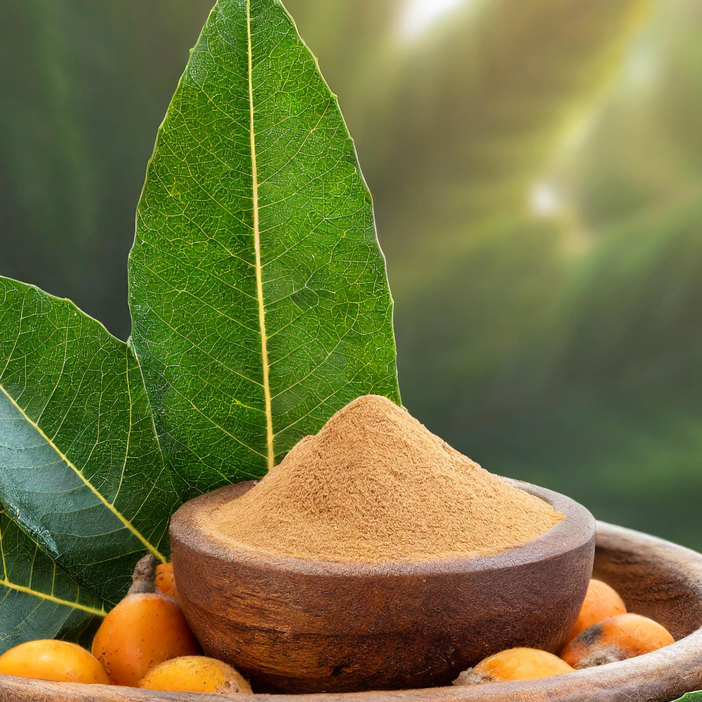 Loquat Leaves Extract