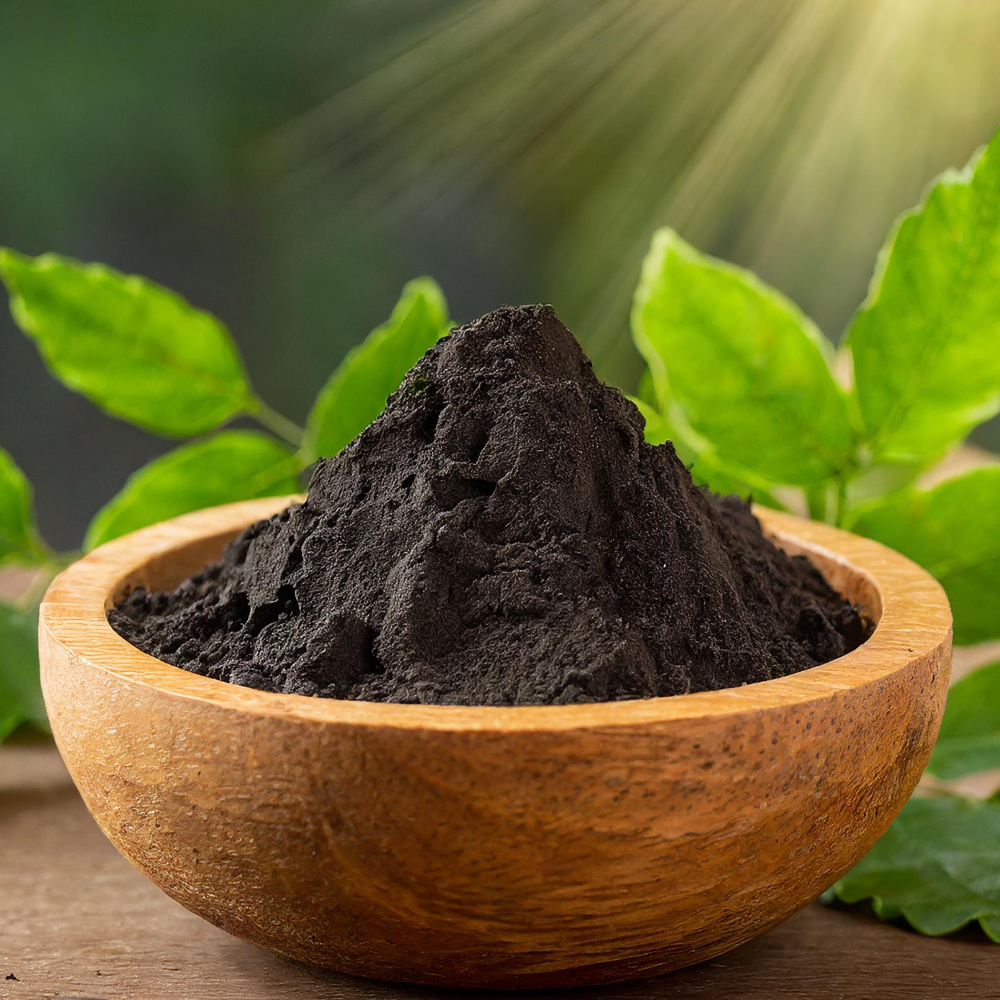 shilajit extract powder