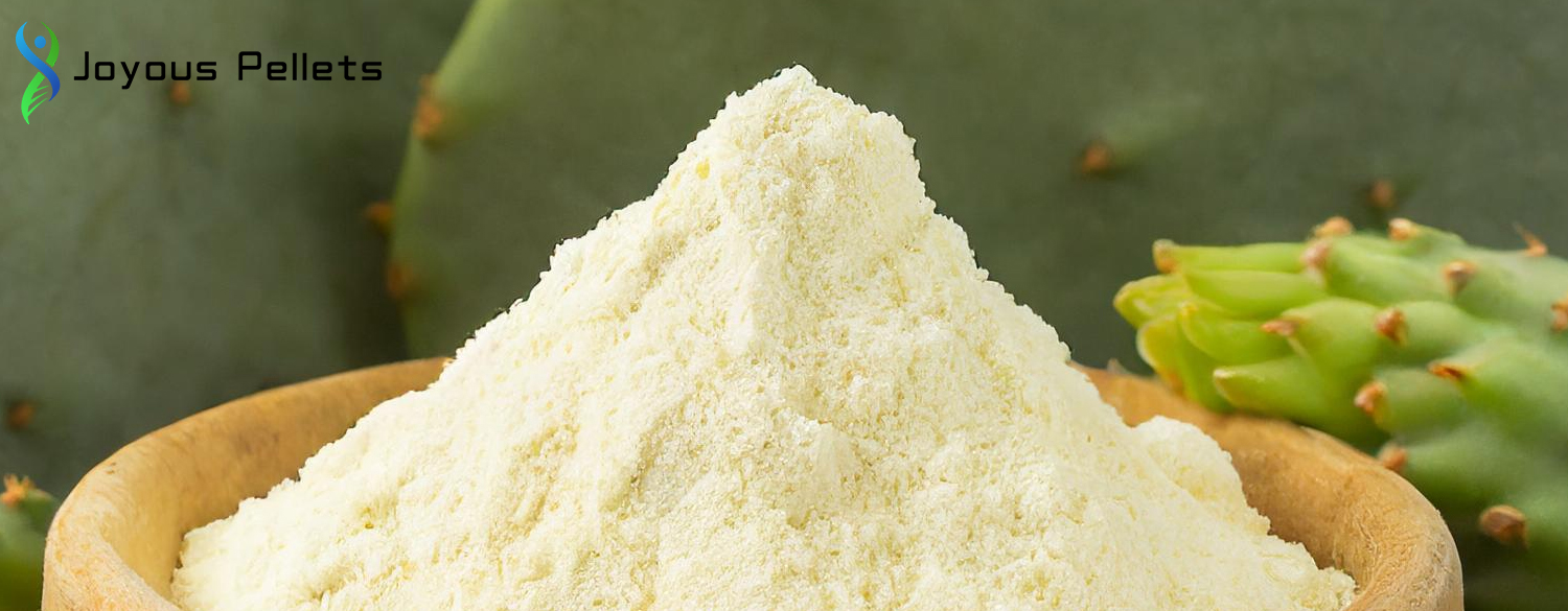 Superoxide dismutase（SOD） powder