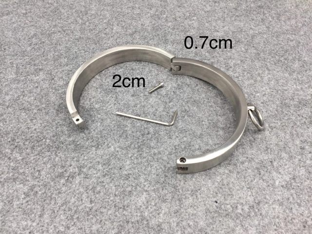Customizable Stainless Steel BDSM Collar Lock with Screw