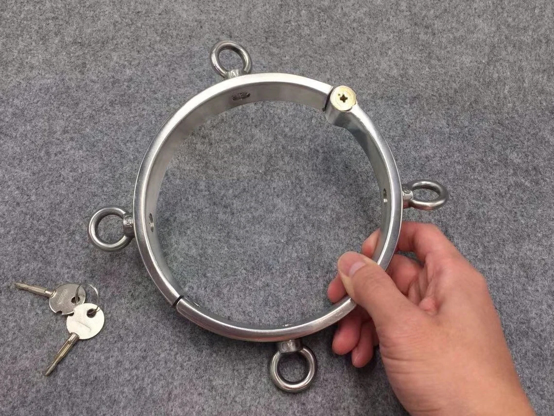 Stainless Steel Collar with 4 Attached Rings