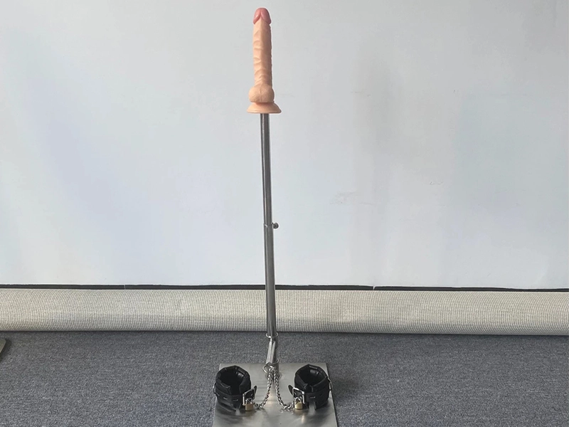 One Bar Prison with Vac U Lock Plug Dildo