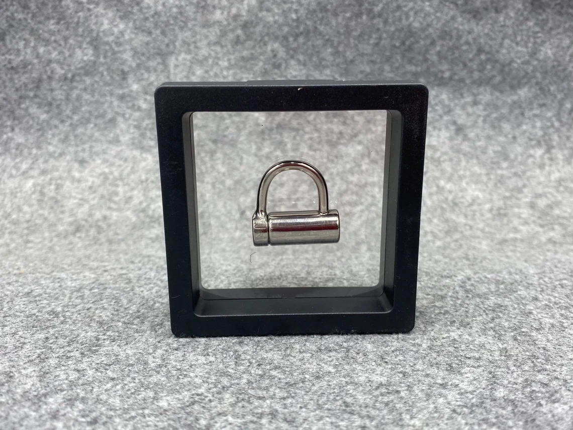 Stainless Steel/Titanium PA D Ring Lock,Piercing Padlock Locked By Screw