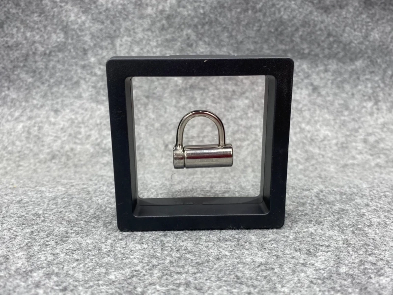 Stainless Steel/Titanium PA D Ring Lock,Piercing Padlock Locked By Screw