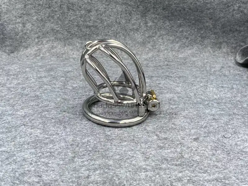 BA-28T Customize Chastity Cage Stainless Steel/Titanium Cock Cage With ...