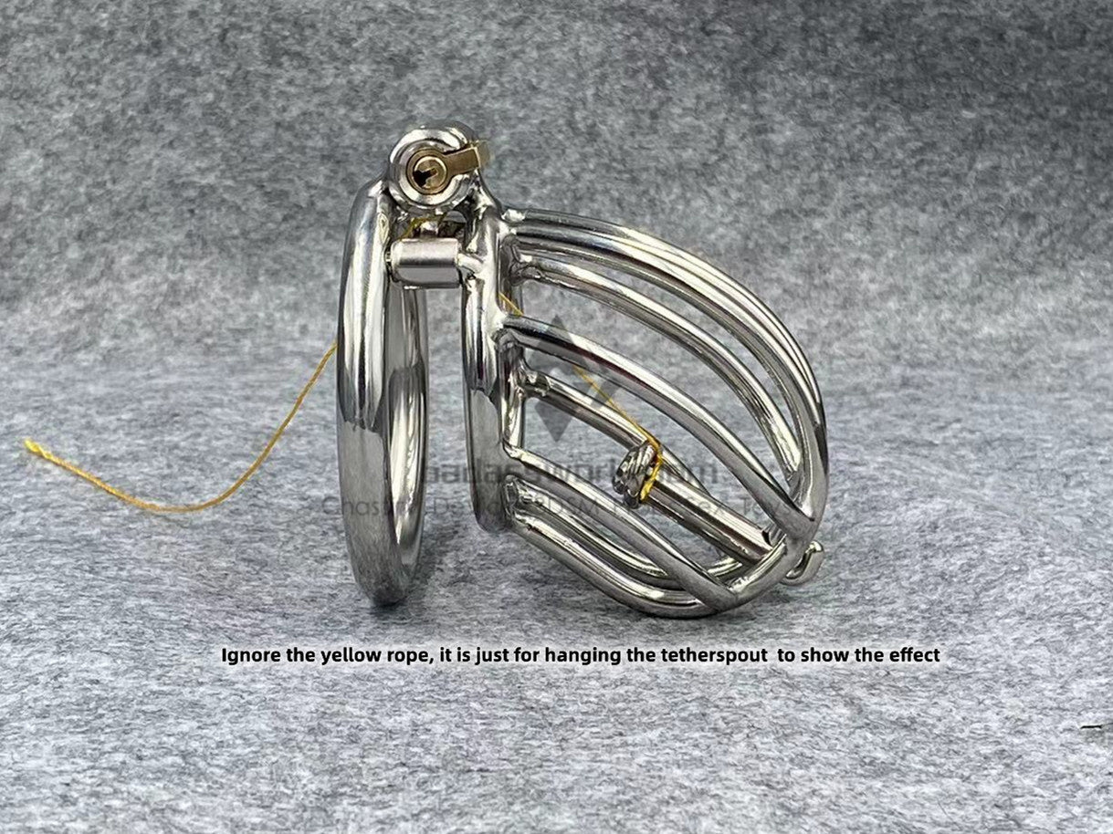 BA-28T Customize Chastity Cage Stainless Steel/Titanium Cock Cage With ...