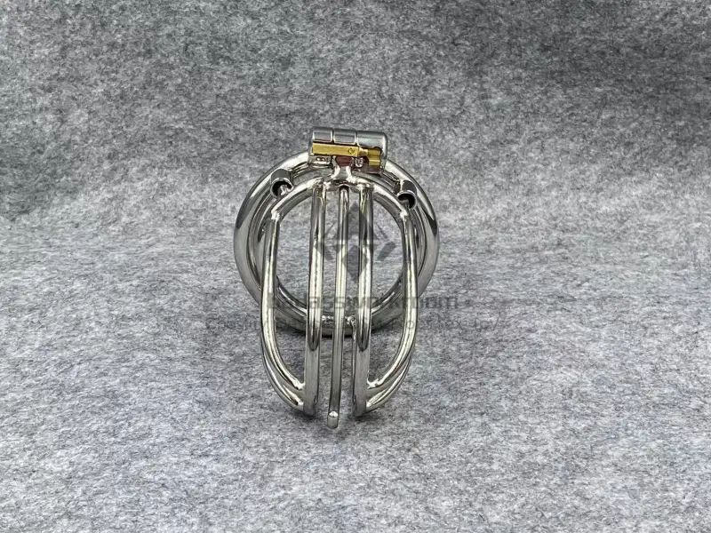 BA-28T Customize Chastity Cage Stainless Steel/Titanium Cock Cage With ...