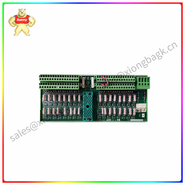 9566-810 Triconex Digital input panel