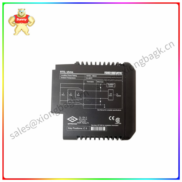 KJ3002X1-BF1 Emerson Analog input card RTD