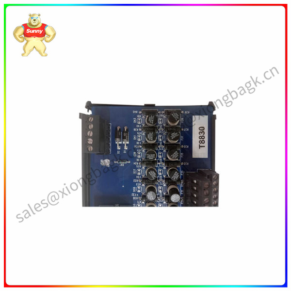 T8830 40-channel Analog Input Field Terminal Assembly