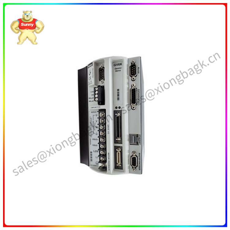 GV6K-U6E Intelligent vision processor chip Multiple processor cores and hardware accelerators ...