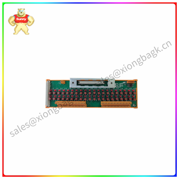 T8800 Trusted 40-channel 24V DC digital input FTA Has a variety of ...