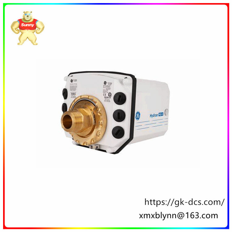 HYDRAN-M2 Transformer monitor Can automatically record and analyze ...